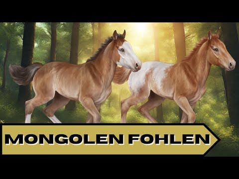 #107 Horse Reality: Haben wir diesmal mehr GLÜCK? 🍀