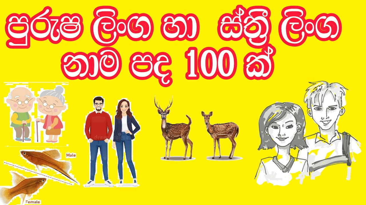 sthree linga purusha linga pada sinhala-ස්ත්‍රී පුරුෂ ලිංග නාම පද ...