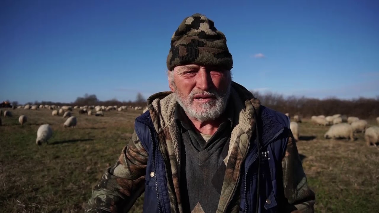 Shepherds from Manjaca spend the winter in Piperci///Ovcari sa Manjace ...