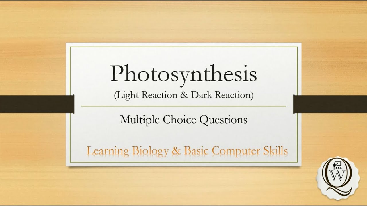 Photosynthesis Multiple Choice Questions Solved Inter Level YouTube photosynthesis-multiple-choice-questions-solved-inter-level-youtube