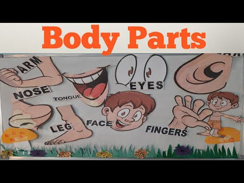 Body parts with Rhymes , activity and Drawing for kindergarten - YouTube