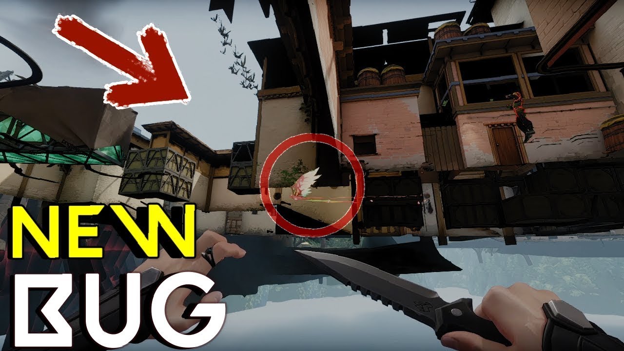 SKYE BUG Valorant | STILL WORKS! | Valorant bugs | - YouTube