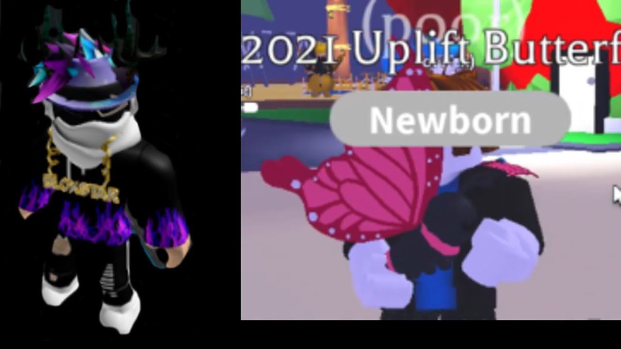 NEW butter fly pet in adopt me (roblox 2021) - YouTube