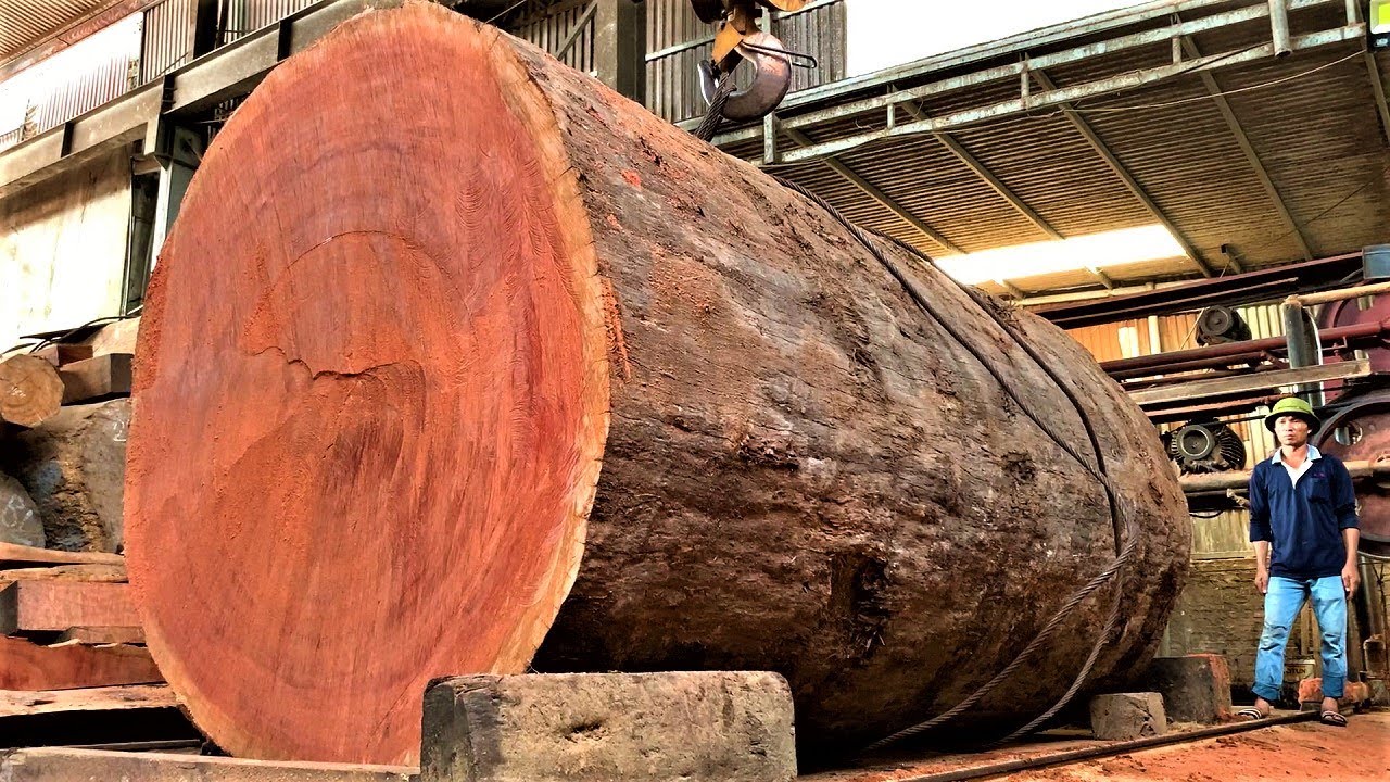 Amazing Sawmill Wood Cutting - Dangerous , Attractive Sawing Super Huge ...