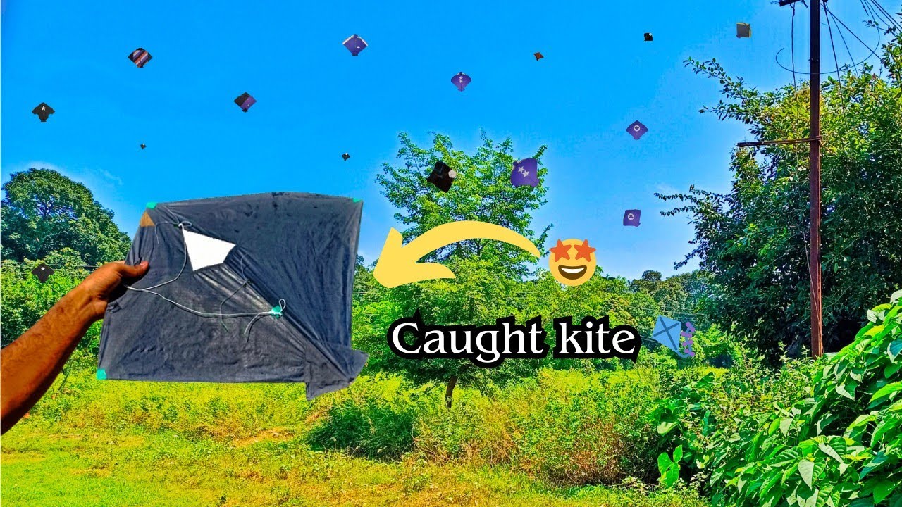 Caught Kite From Ground 🤩 | Kite Only Kites #caughtkite #kitelooting ...