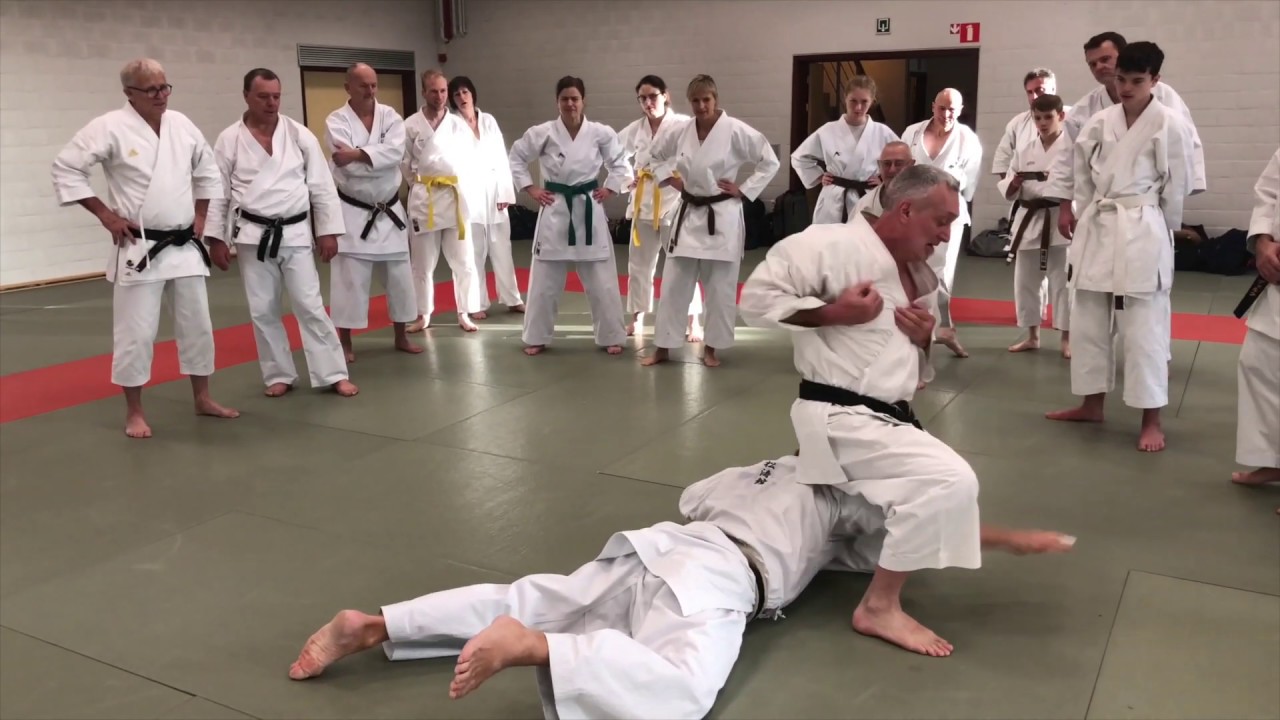 From Bassai Sho. Haito gedan uke - YouTube