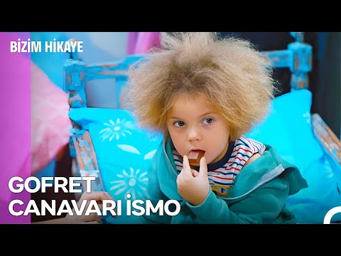 Minibollar Vlog #4: Hiçbir Zaman Kaplumbağa Olmayacaksın - Bizim Hikaye