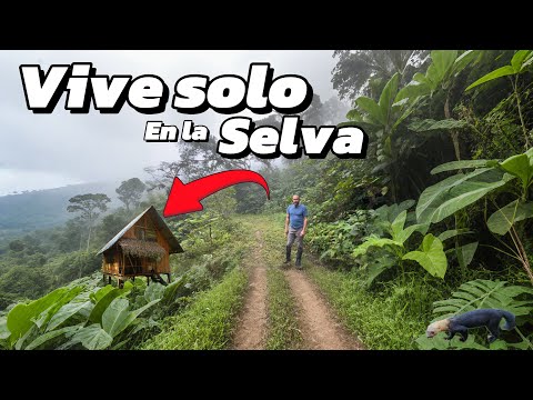 DEJO todo para VIVIR SOLO EN LA SELVA cuidando animales SALVAJES Y árboles