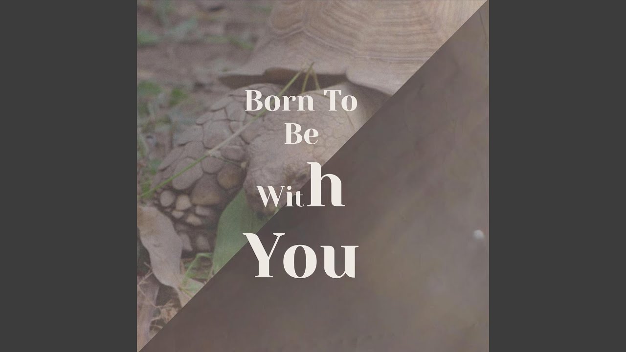 Stacker Lee - YouTube