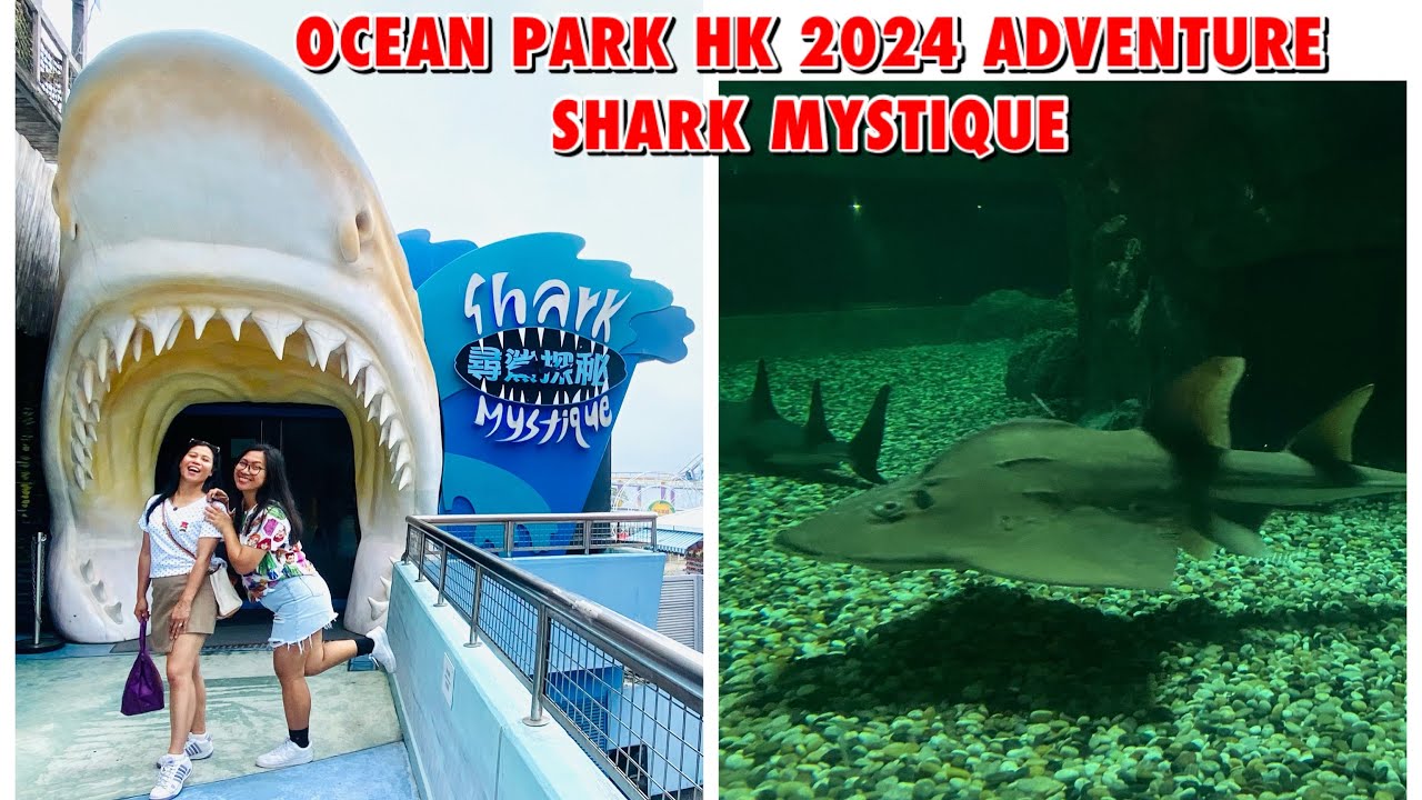 OCEAN PARK HK 2024 ADVENTURE | SHARK MYSTIQUE | MARINE WOLRD SUMMIT ...