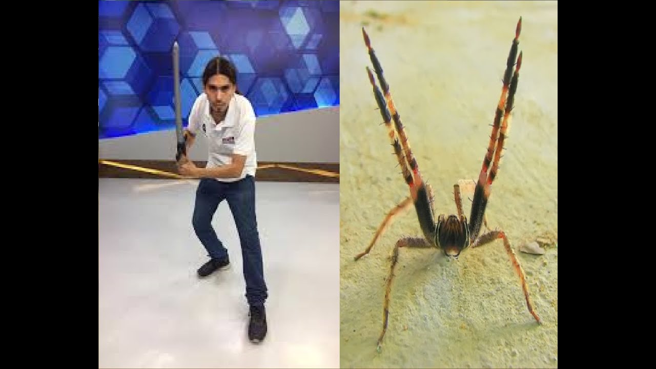 (FWR)ROBLOX The Mimic Kintoru's trials Normal Solo Speedrun 7:01 - YouTube