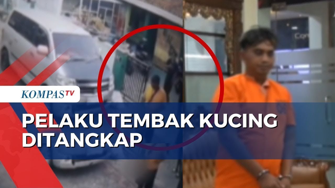Polisi Tangkap Pria Tembak Kucing dengan Airsoft Gun di Semarang - YouTube