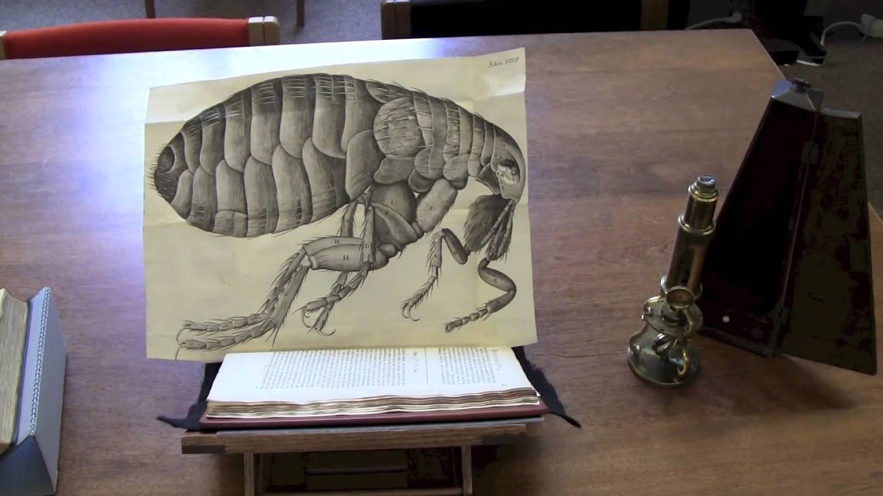 Special Collections at the University of Colorado Boulder Libraries ...