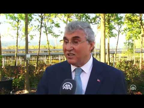 Sakarya'da topraksız tarımla 8 çeşit domates üretiliyor