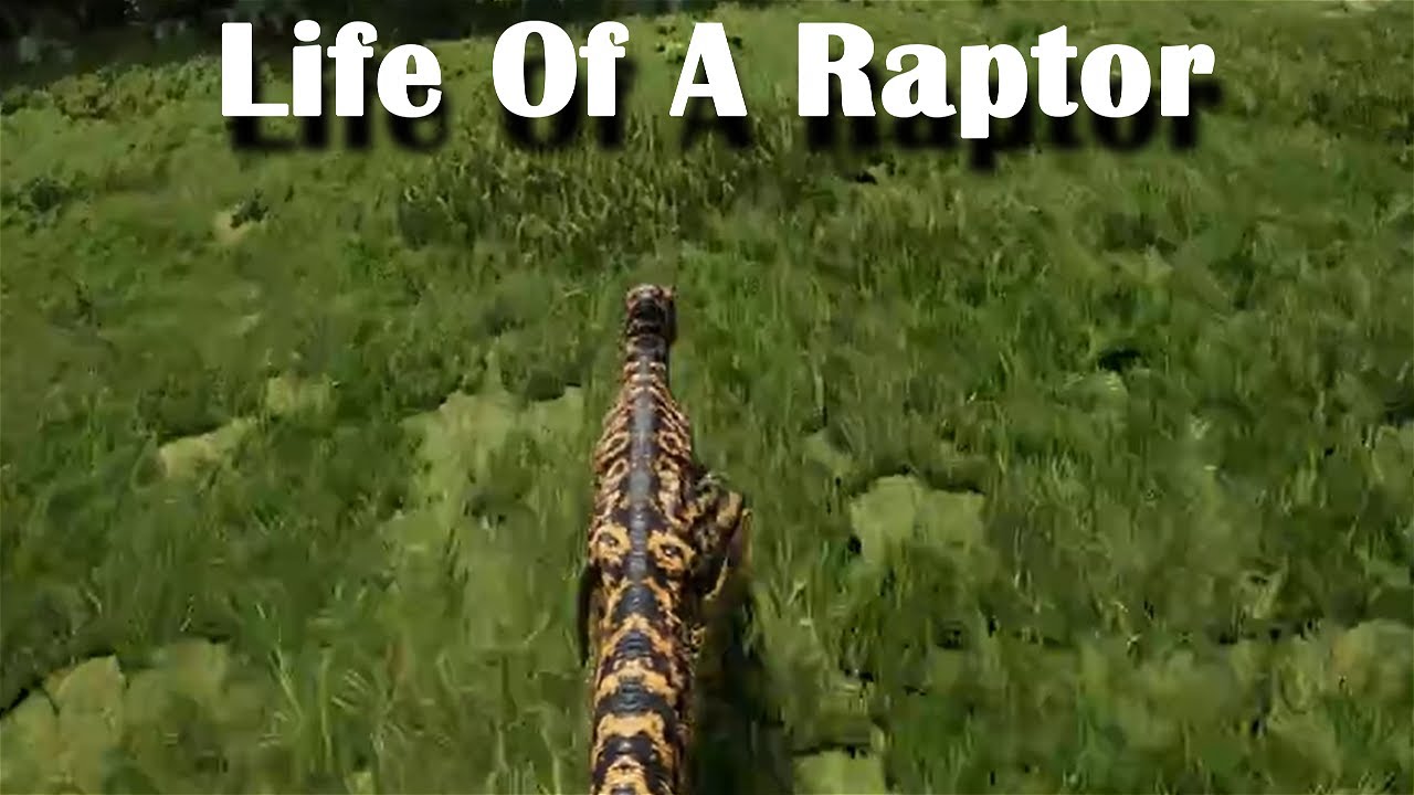 Life Of A Raptor, The Isle Evrima - YouTube