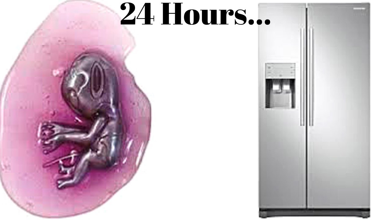 BABY SLIME ALIEN EXPERIMENT!! (24 Hours in a freezer) - YouTube