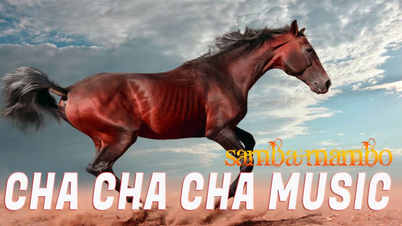 (Morning Music) Cha Cha Cha Musica - Beautiful Rumba - Samba - Mambo ...