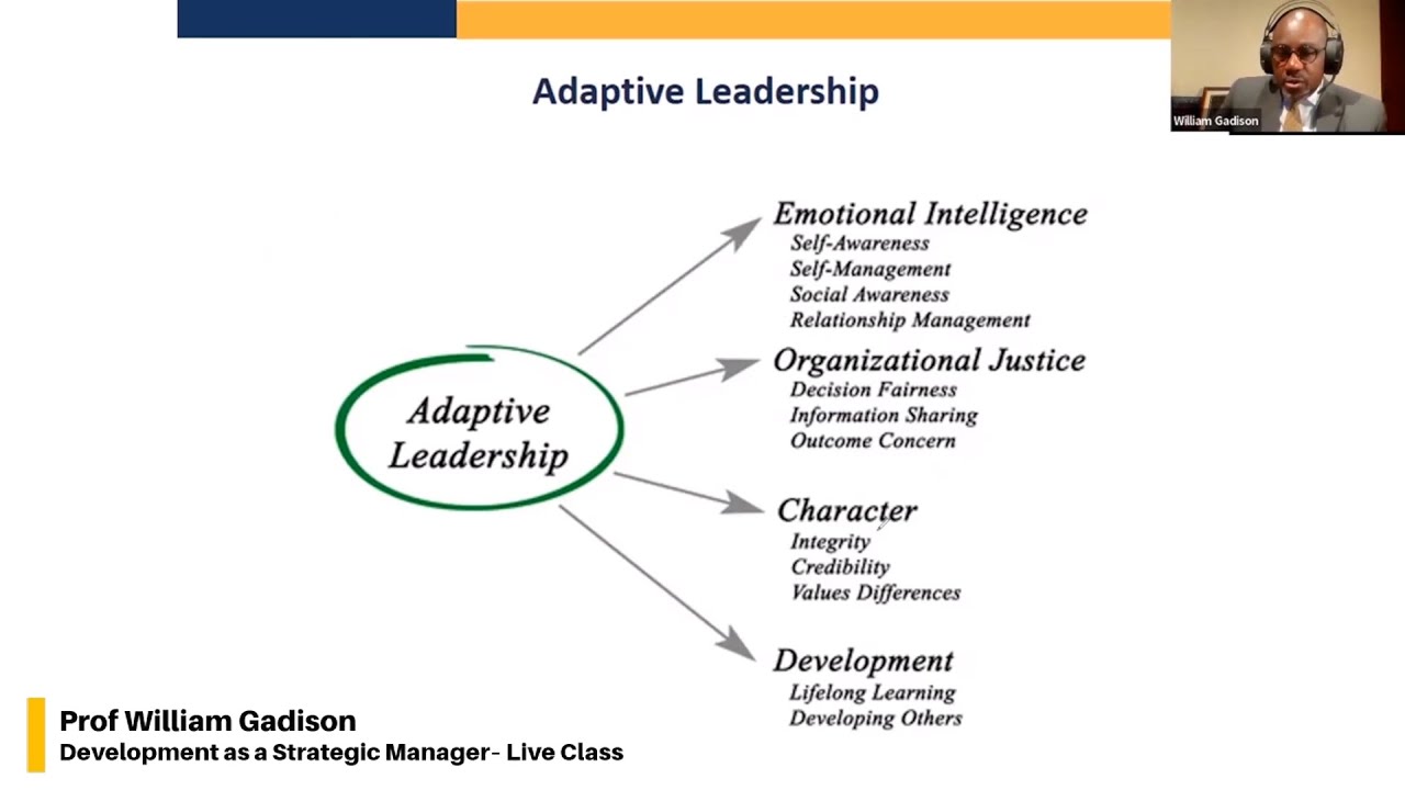 Prof William Gadison - Development as a Strategic Manager Live Class ...