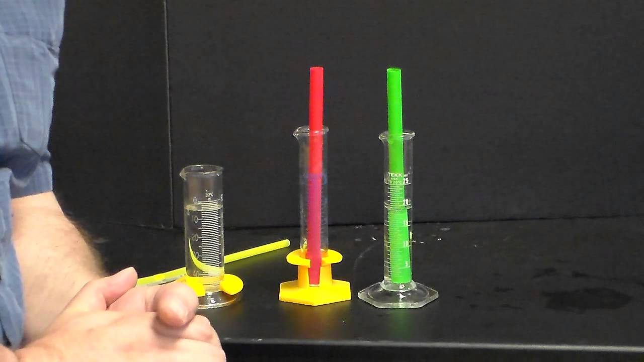 Canu Equilibrium Model Lab - YouTube