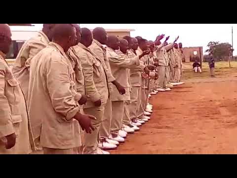 Tsakane lapologa