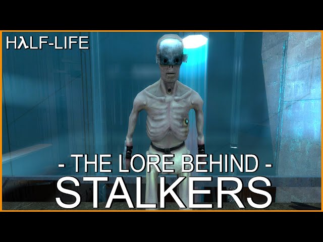 Half Life 2 Stalker