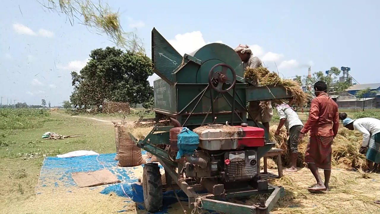 Threshing of Rice - YouTube