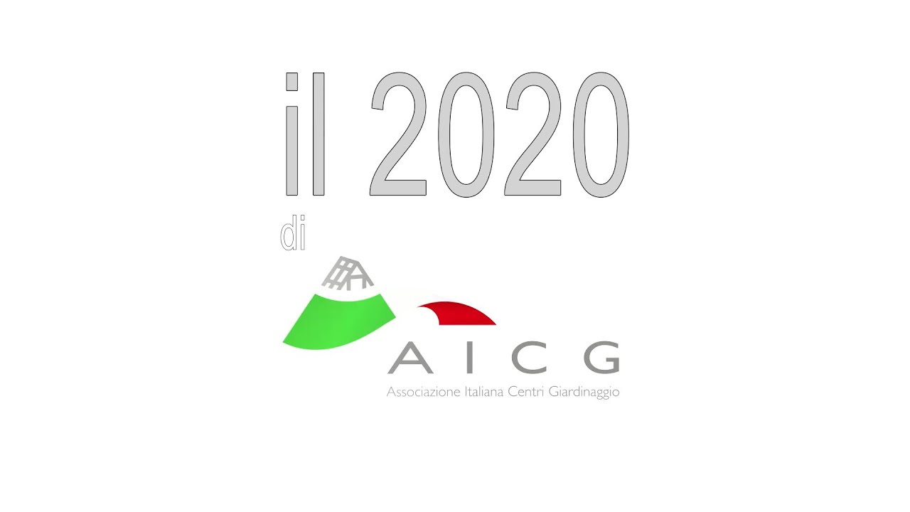 Il 2020 di AICG - YouTube