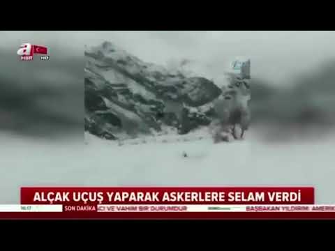 ŞANLI TÜRK ASKERİMİZİN AFRİN OPERASYONUNDAKİ ALÇAK UÇUŞ YAPARAK SELAMLAMASI