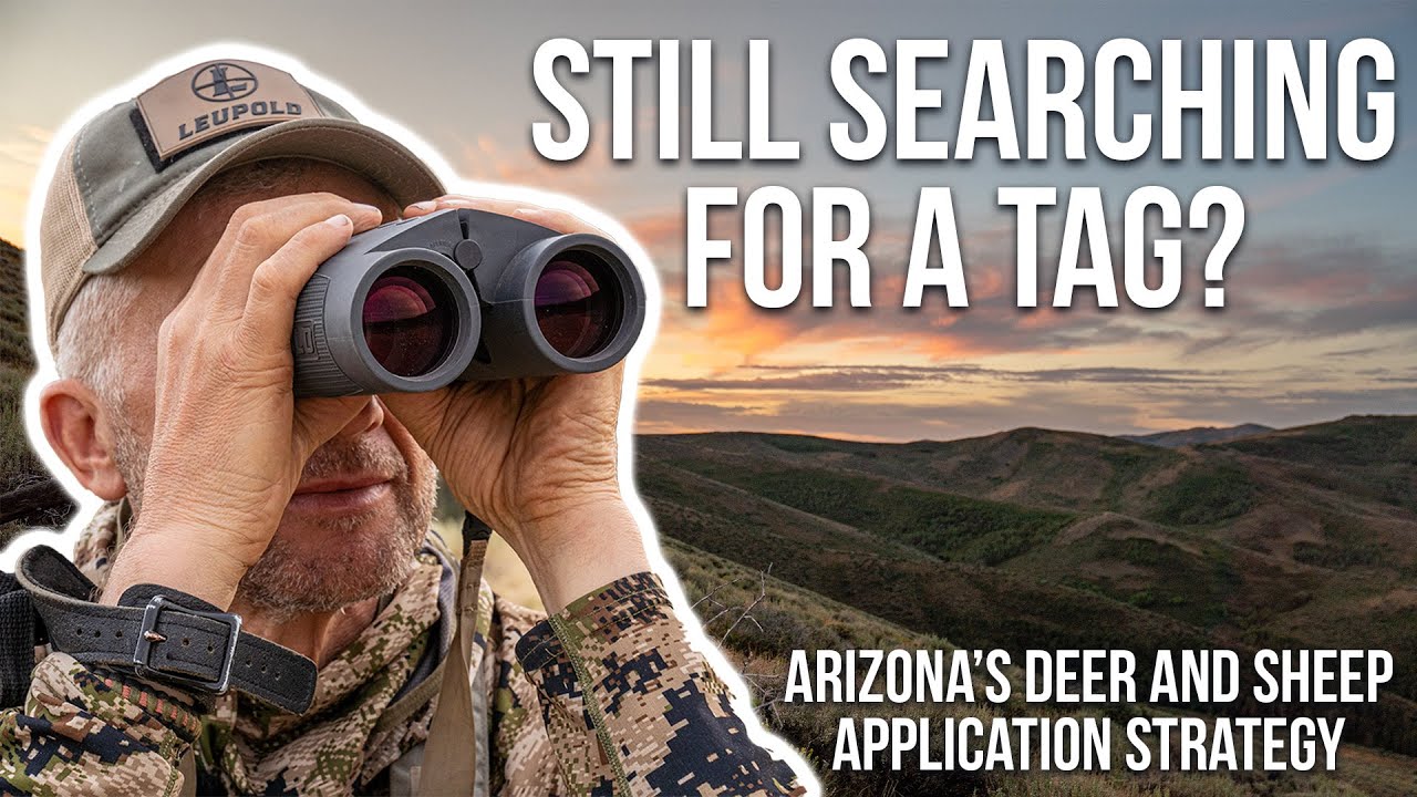 How to Apply for Arizona Deer and Sheep Tags | 2024 Arizona Deer and ...