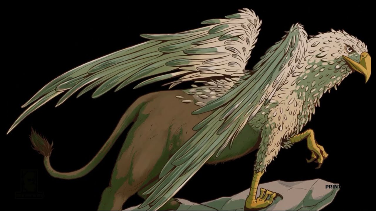 Griffon - Procreate Timelapse - Printable RPG - YouTube