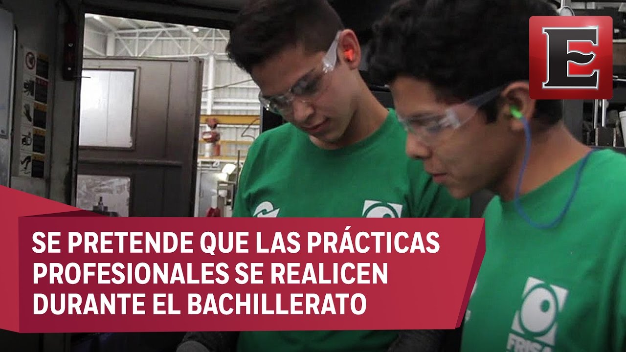 ¿En qué consiste el modelo de educación dual? - YouTube