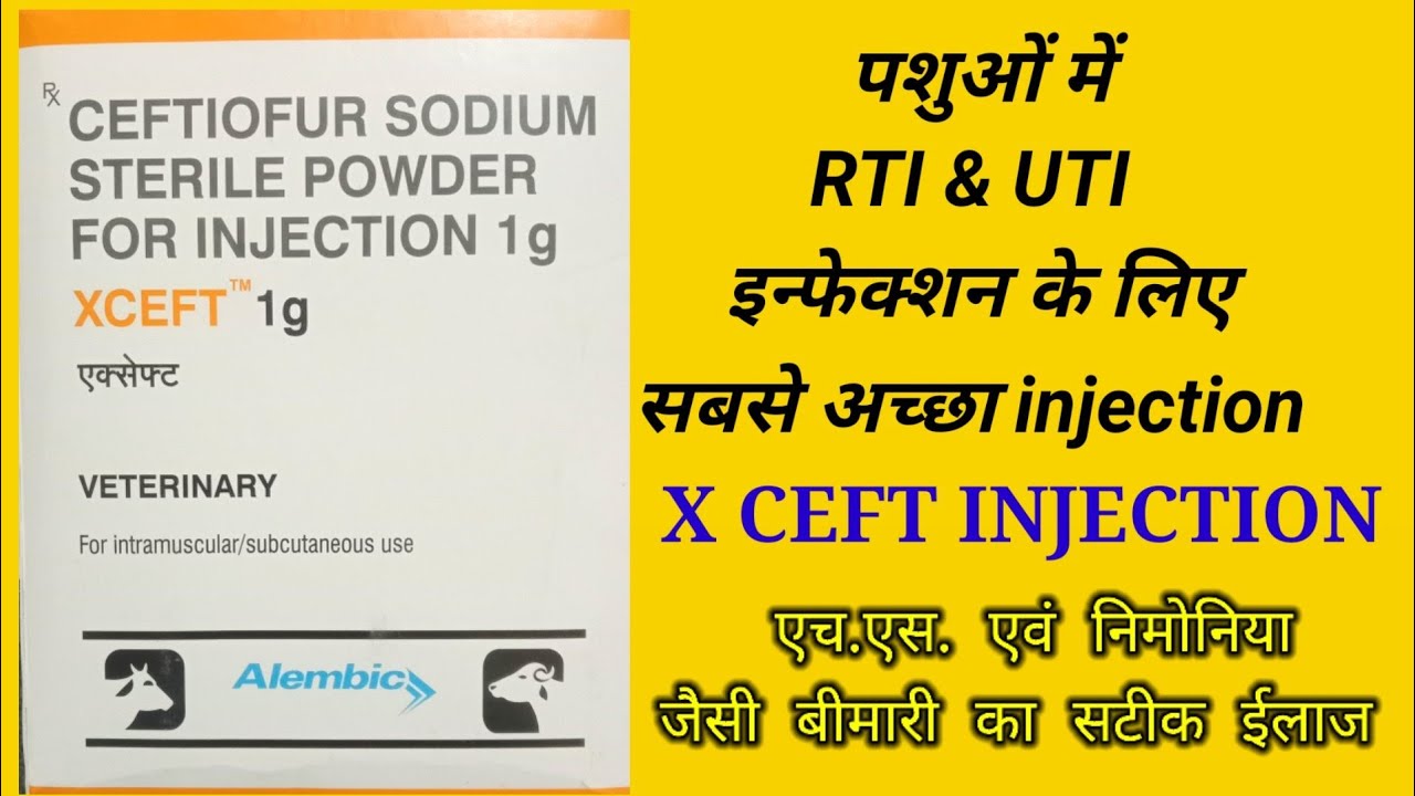 X CEFT /XCEFT TAZO Injection | H.S. , pneumonia disease |CEFTIOFUR ...