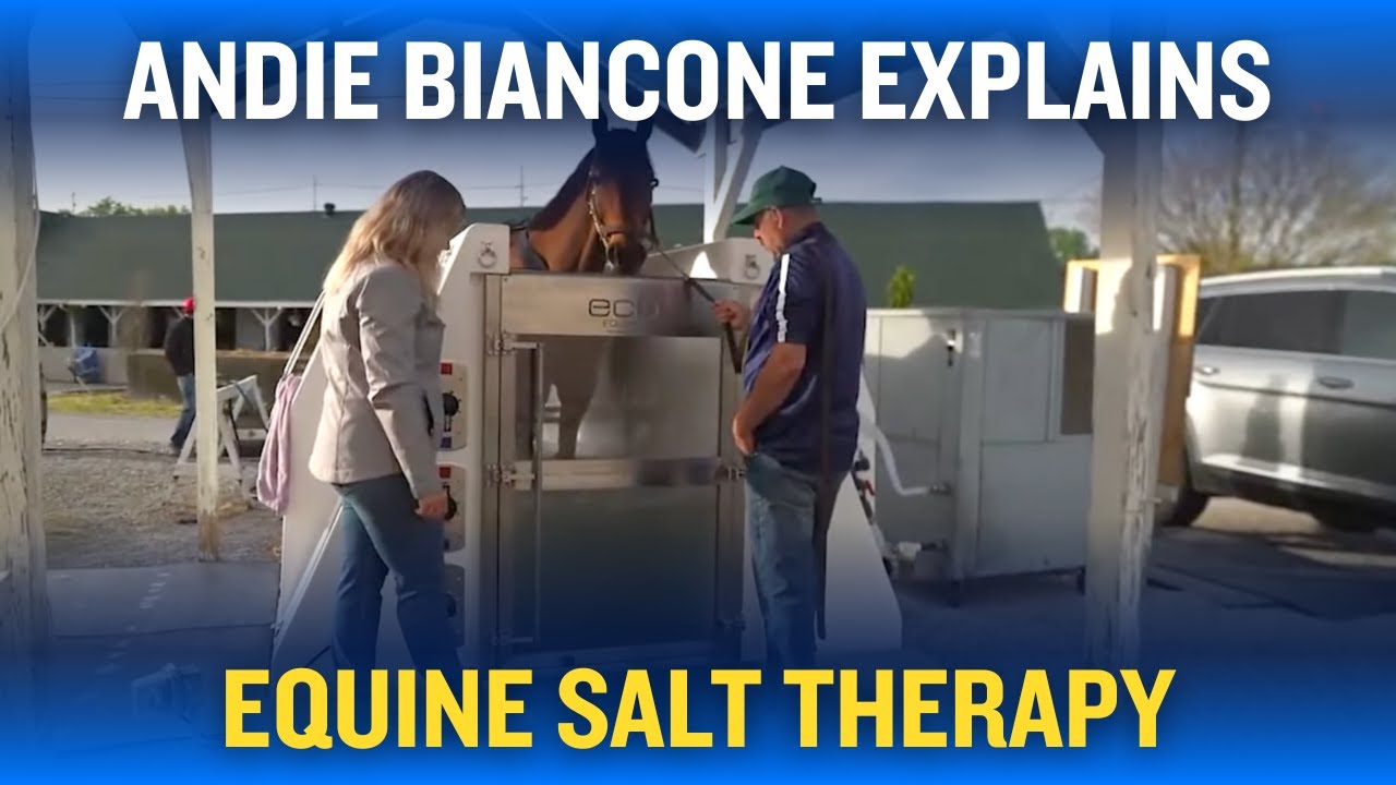 Andie Biancone- Equine Salt Therapy - YouTube