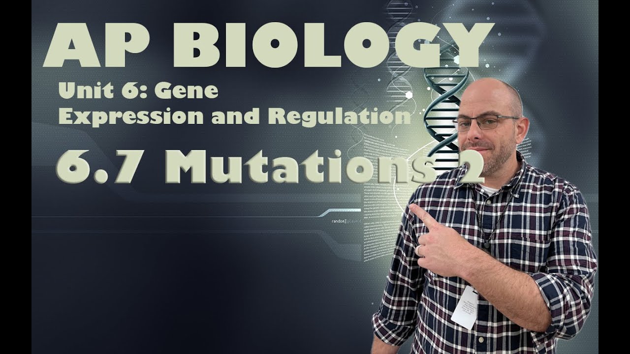 AP Biology - Unit 6 - 6.7 - Mutations 2 - YouTube