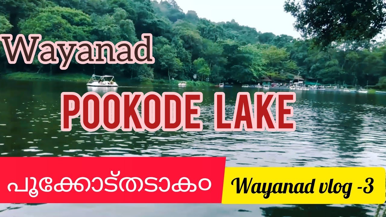 Pookode Lake Wayanad |പൂക്കോട് തടാക൦|🥳🥳 |sruthi lifestyle vlog|Lakkidi ...