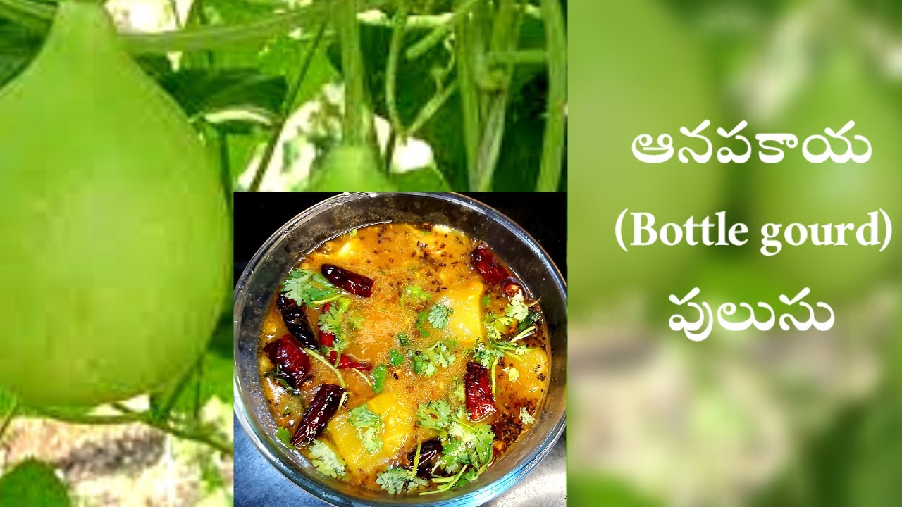 నోరూరించే ఆంధ్ర style ఆనపకాయ పులుసు | Anapakaya Pulusu | Bottle gourd ...