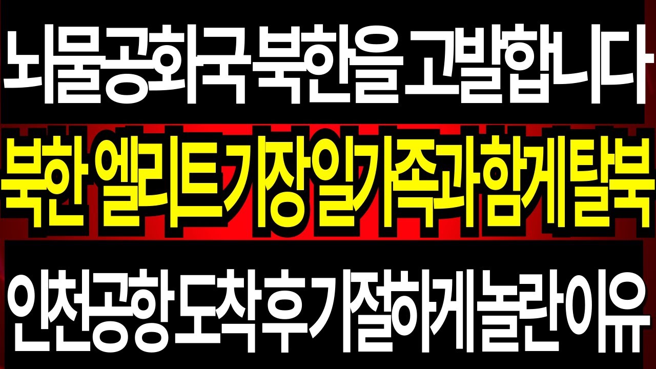북한 엘리트 집단 고려항공기장 일가족과 함께 목숨건 탈북 뇌물 공화국 북한을 탈출하여 대한민국에 올 수 밖에 없었던 북한 고려