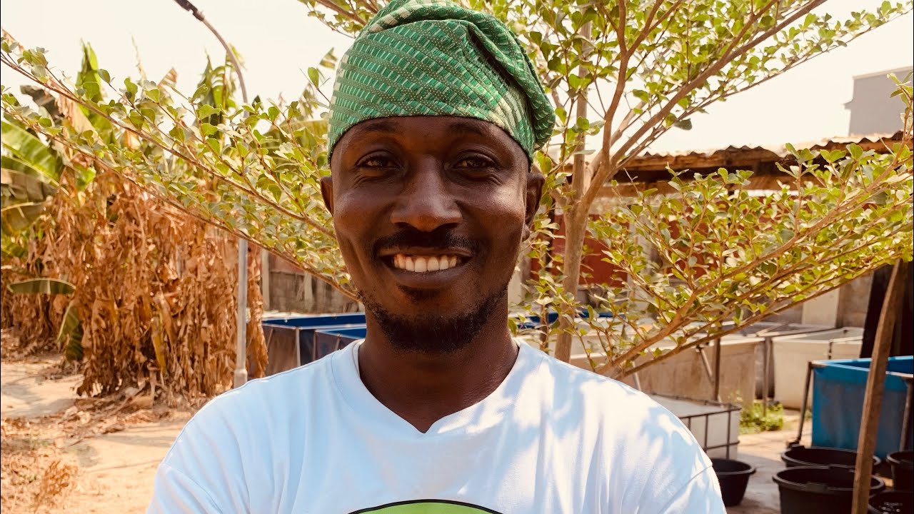 MUST WATCH! HOW TO SUCCESSFULLY CARRY OUT FINGERLINGS PRODUCTION (PART2 ...