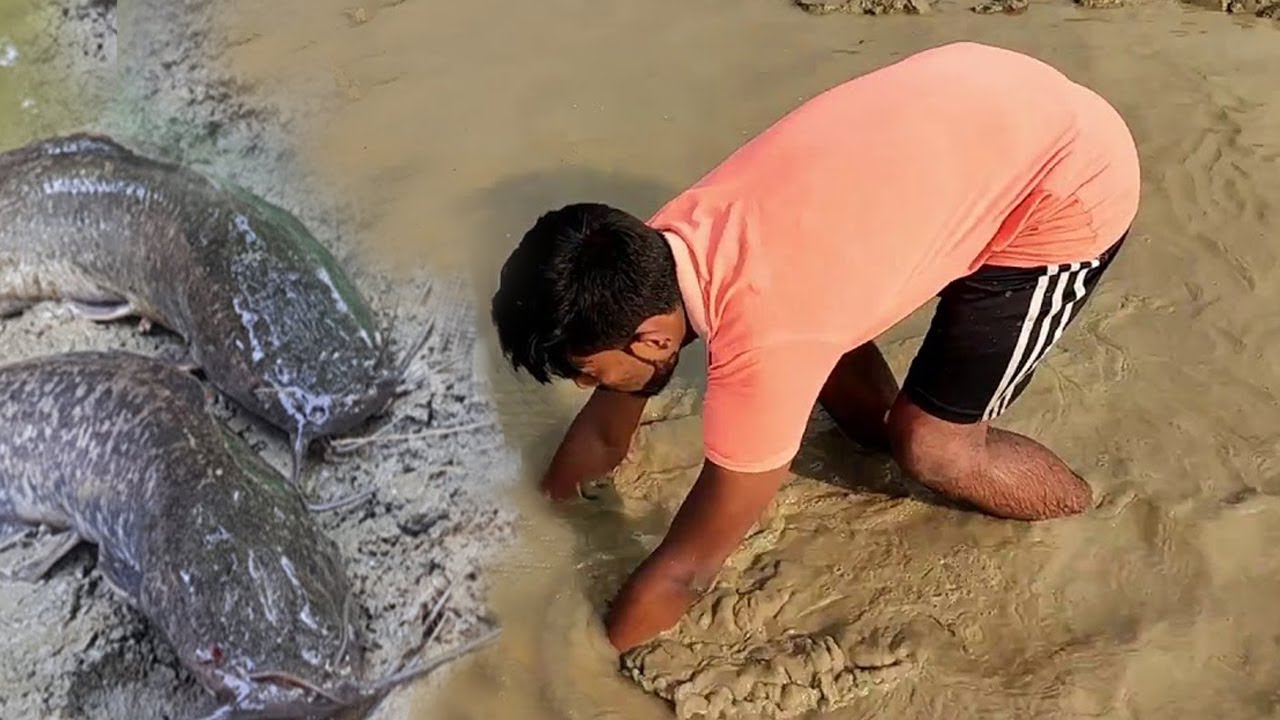 Best Mud Water Fishing | Amazing Boy Catching Giant Big Catfish by Hand ...