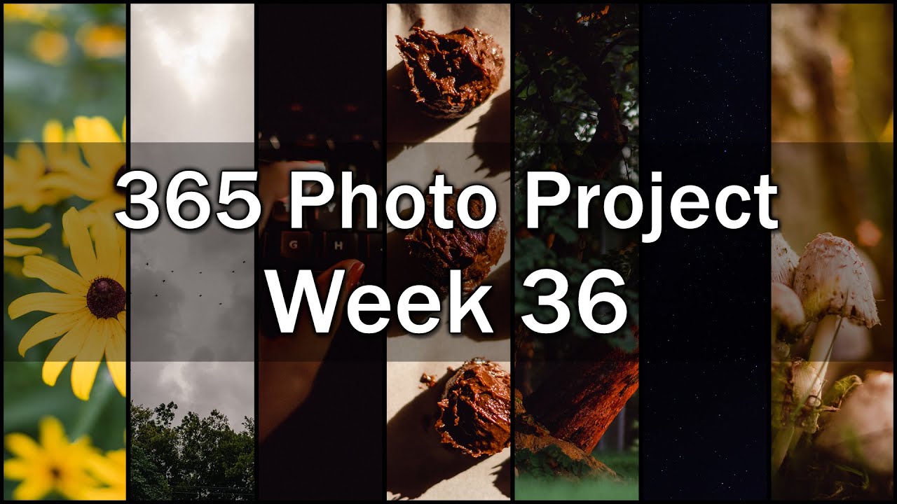 A Few Good Drawing Days 🎨 Week 36 - 365 Photo Project - YouTube