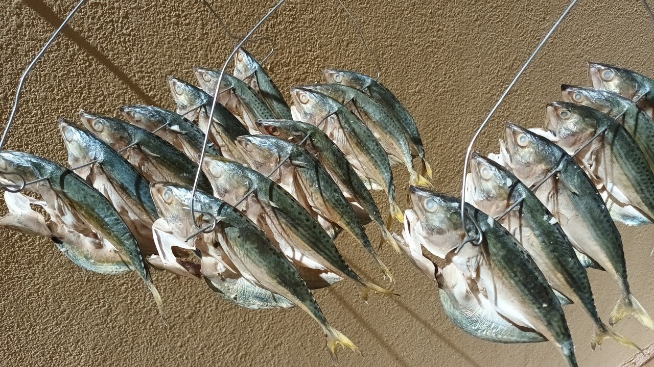 MINI VLOG| Gumawa ako ng Daing na isda(Bislad) - YouTube