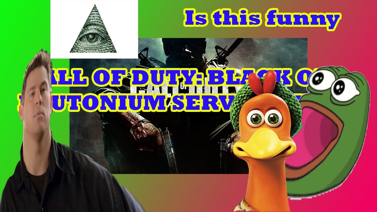 How to set up a Plutonium T5 server (Black Ops 1) - YouTube