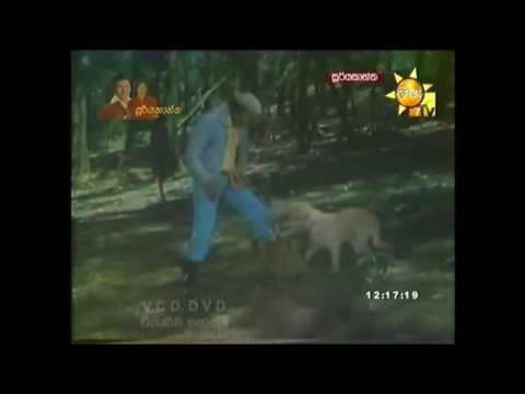 Sithum Vihanga Sen Saraa - Suryakaantha 1981 - YouTube