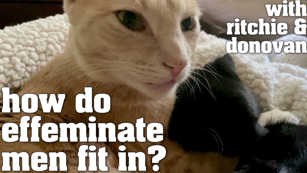 How Do Effeminate Men Fit In? | with Donovan Cleckley & Ritchie - YouTube