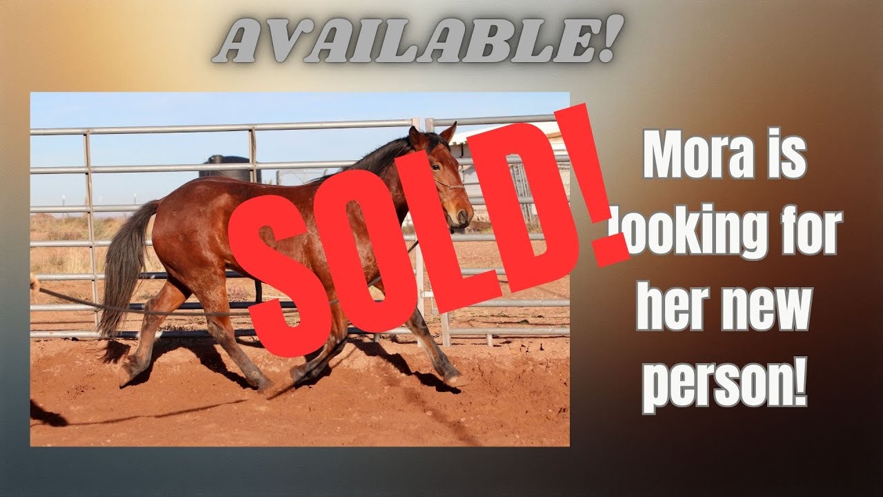 Mora Movement Video - YouTube