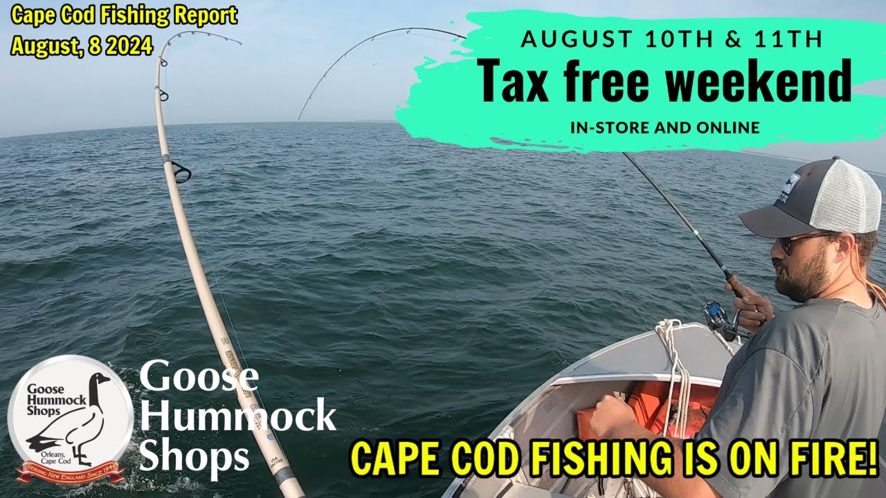 Bones Bass and Blues! Cape Cod is on 🔥🎣. Tax free weekend is here ...