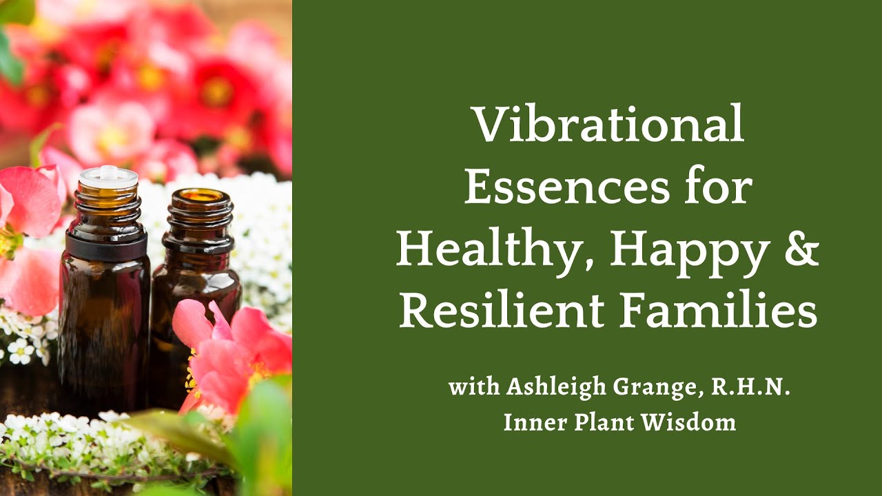 Vibrational Essences for Healthy, Happy & Resilient Families - YouTube