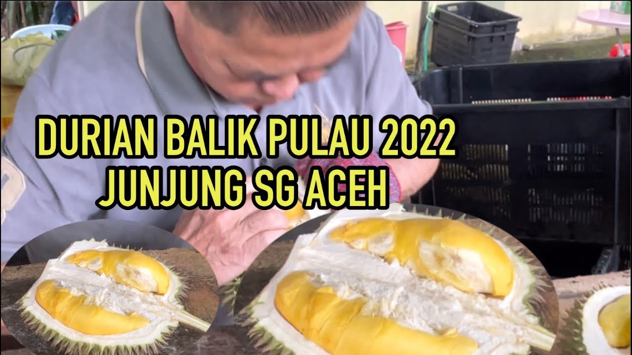 King Street Food || Durian Balik Pulau 2022, Durian Junjung Sg Aceh ...