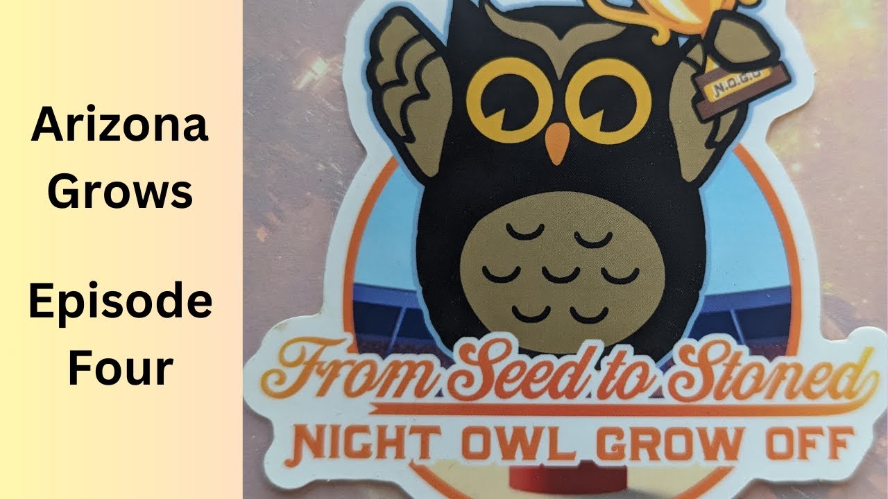 NightOwl Grow Off Episode Four - YouTube