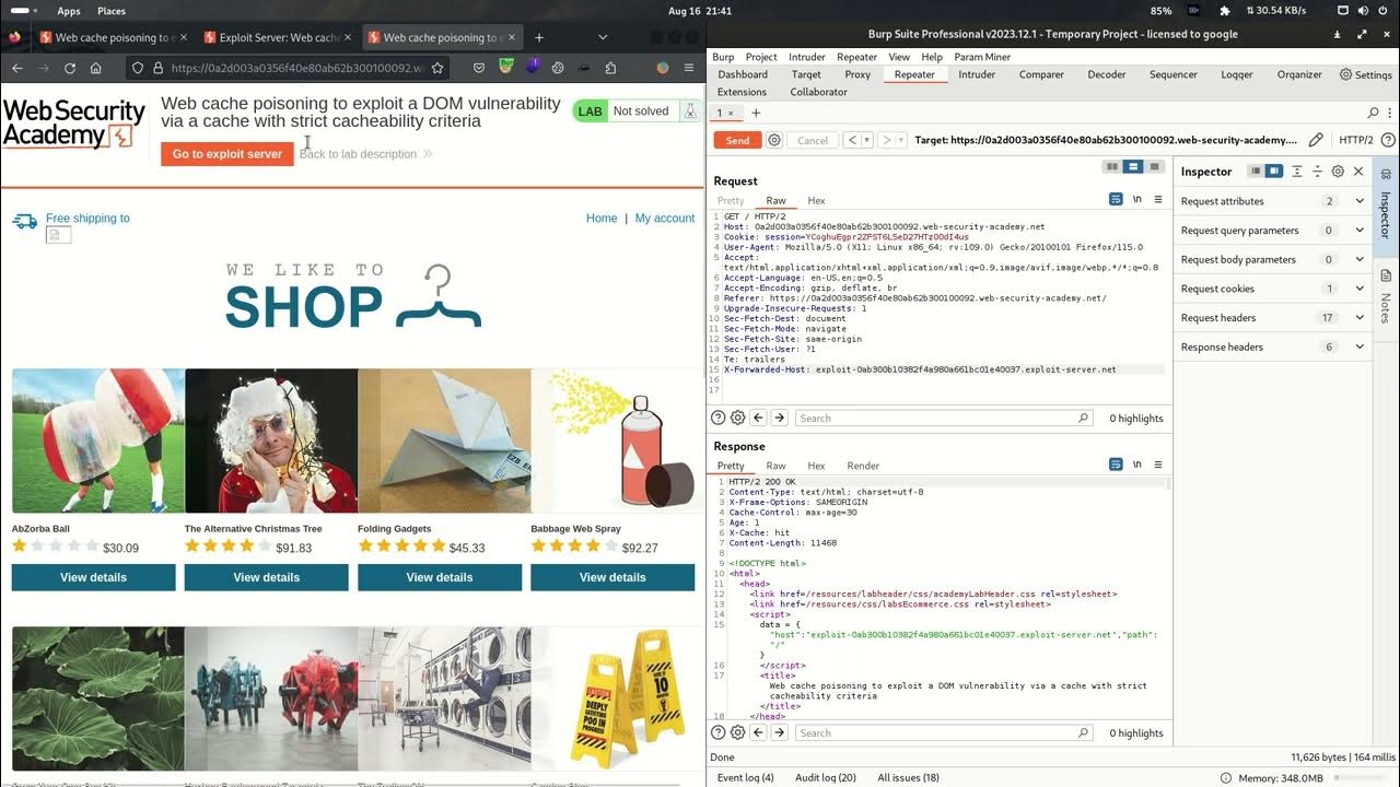24.10 Lab: Web cache poisoning to exploit a DOM vulnerability via a cache with strict ...